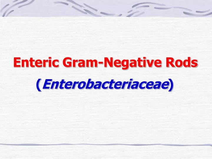 PPT - Enteric Gram-Negative Rods ( Enterobacteriaceae ) PowerPoint ...