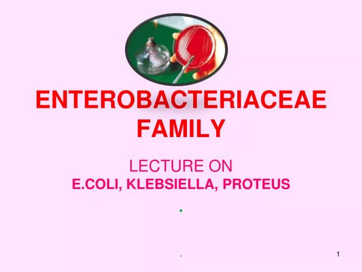 PPT - ENTEROBACTERIACEAE FAMILY PowerPoint Presentation, free download ...