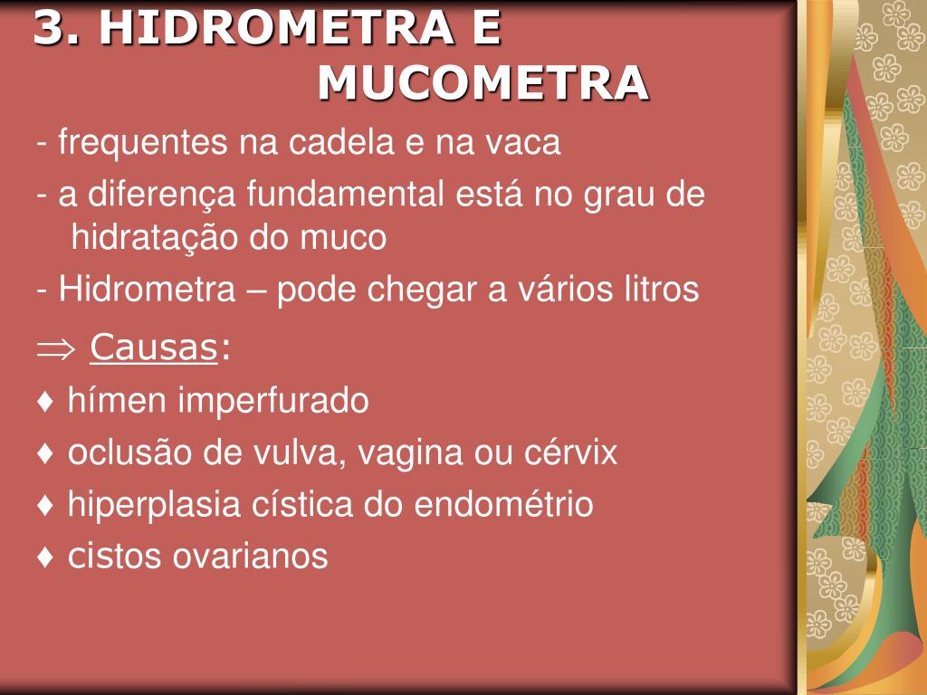 PPT - Patologias do sistema genital feminino PowerPoint Presentation ...