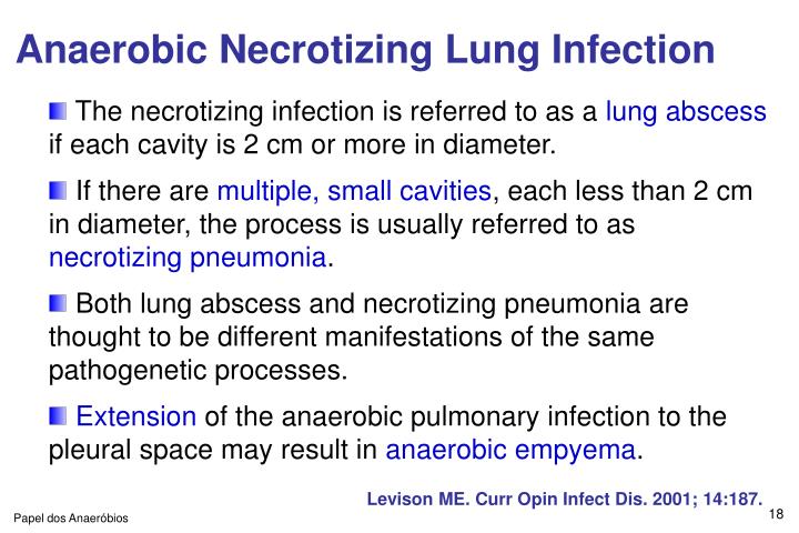 PPT - Carlos M. Luna MD PowerPoint Presentation - ID:3681574