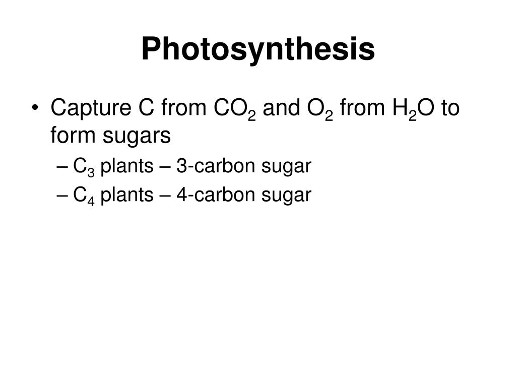 Ppt Physiology Crops Yield Powerpoint Presentation Free Download