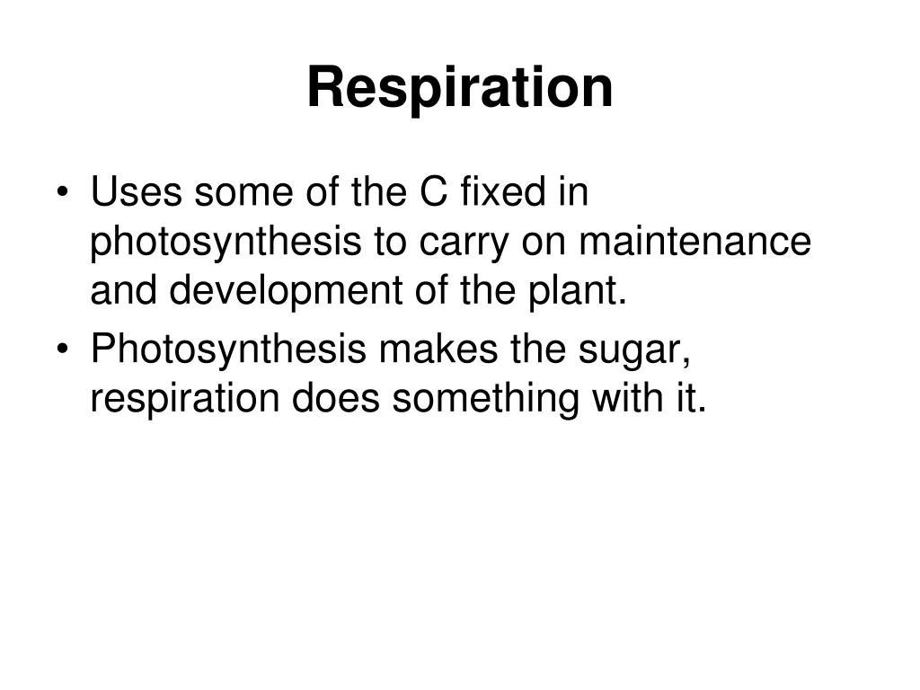 Ppt Physiology Crops Yield Powerpoint Presentation Free Download