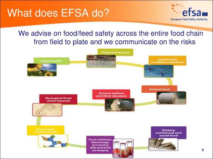 PPT - What does EFSA do? PowerPoint Presentation - ID:3683780
