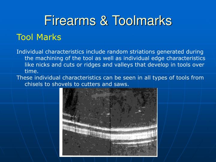 PPT - Firearms & Toolmarks PowerPoint Presentation - ID:3684571