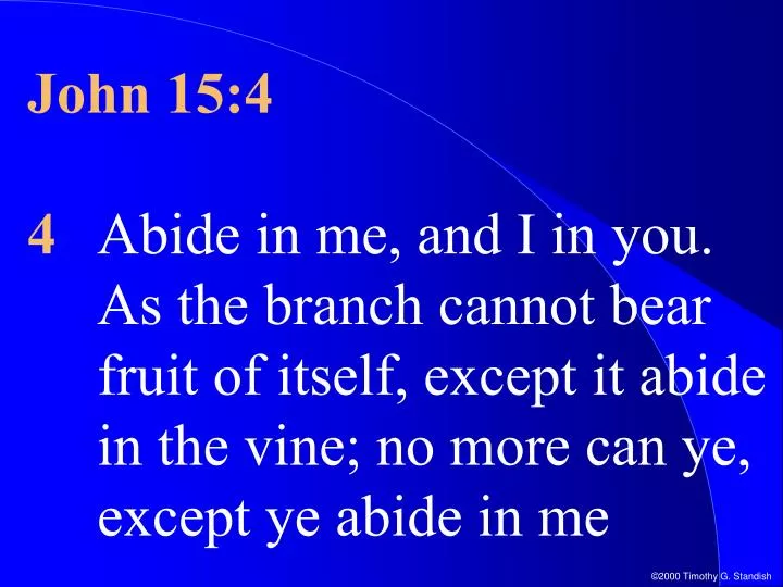 PPT - John 15:4 PowerPoint Presentation, free download - ID:3686641