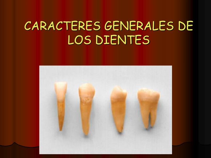PPT - SISTEMA DENTARIO PowerPoint Presentation - ID:3689086