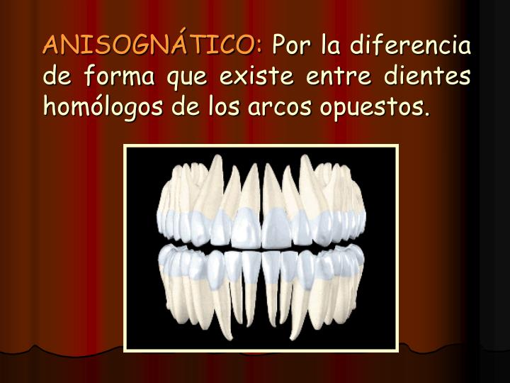 PPT - SISTEMA DENTARIO PowerPoint Presentation - ID:3689086