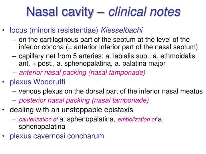 PPT - Respiratory system I. PowerPoint Presentation - ID:3690384