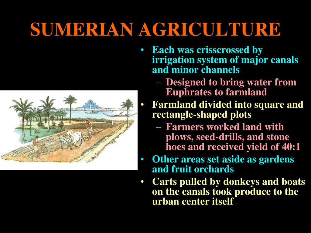 PPT - The Early Empires of Ancient Mesopotamia: The Sumerians ...