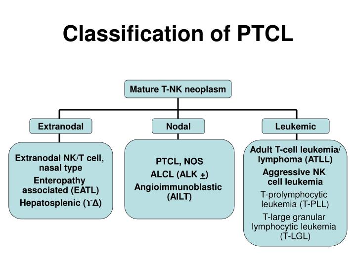 PPT - Mantle Cell Lymphoma (MCL): Approach to Upfront Treatment ...