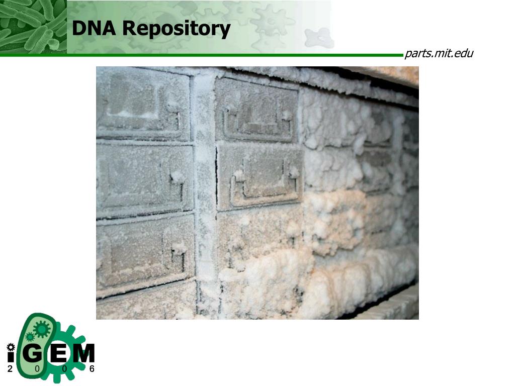 PPT - iGEM & Synthetic Biology International Genetically Engineered ...