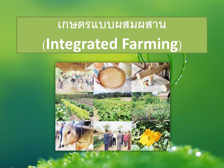 PPT - เกษตรแบบผสมผสาน ( Integrated Farming ) PowerPoint Presentation ...