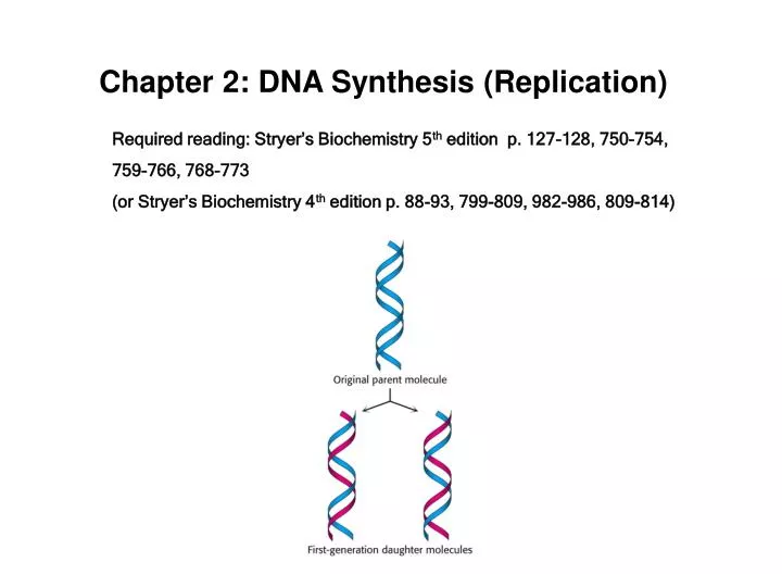PPT - Chapter 2: DNA Synthesis (Replication) PowerPoint Presentation ...
