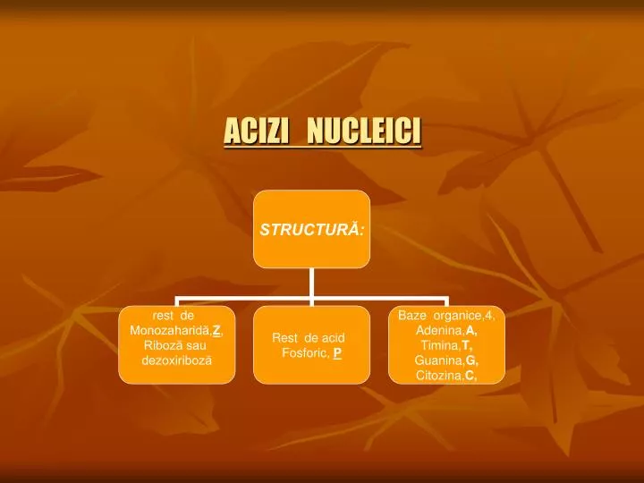 PPT - ACIZI NUCLEICI PowerPoint Presentation, free download - ID:3693578