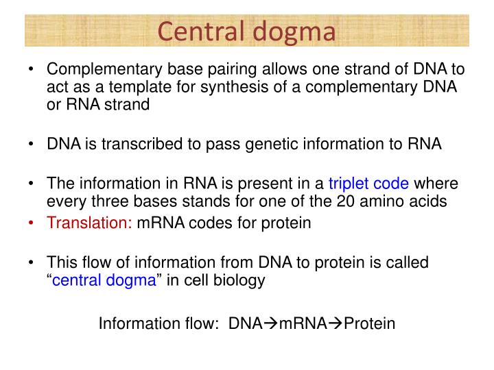 PPT - Biological Molecules Nucleic acids and Proteins PowerPoint ...
