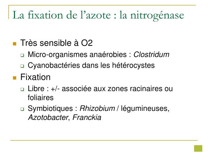 PPT - Le cycle de l’azote PowerPoint Presentation - ID:3694067