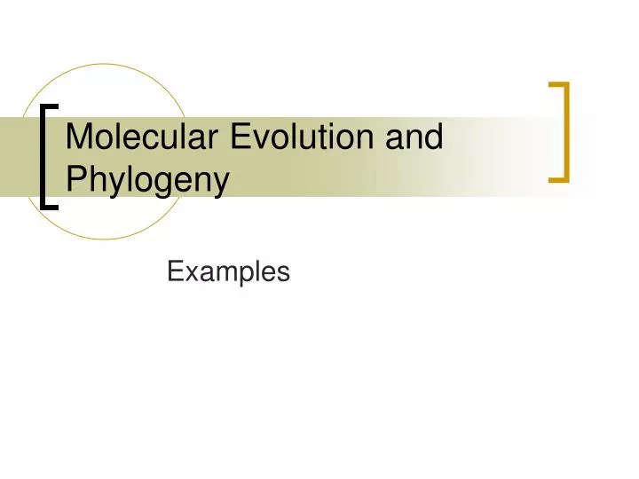 PPT - Molecular Evolution and Phylogeny PowerPoint Presentation, free ...