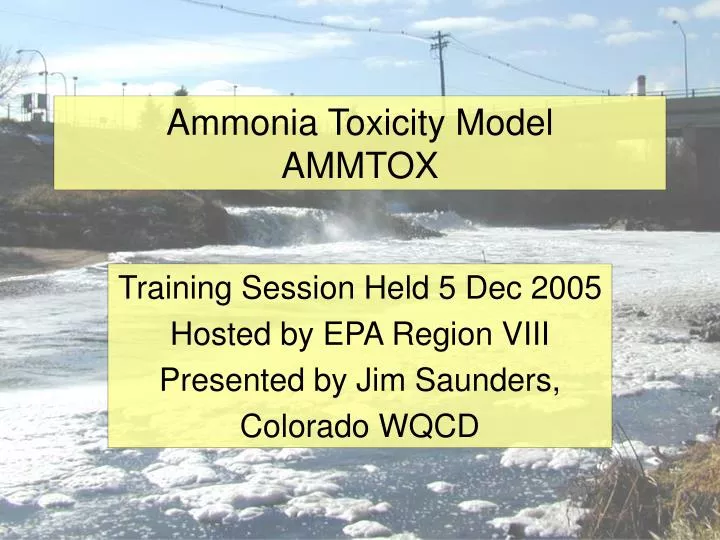 PPT - Ammonia Toxicity Model AMMTOX PowerPoint Presentation, free ...