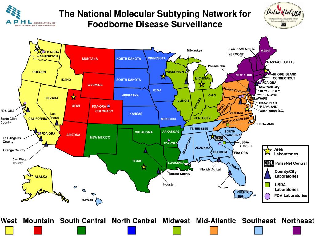 PPT - Molecular Surveillance of Foodborne Infections PowerPoint ...