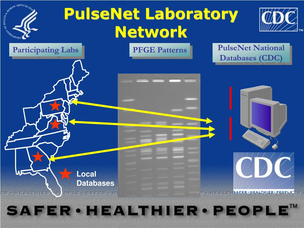 PPT - Molecular Surveillance of Foodborne Infections PowerPoint ...
