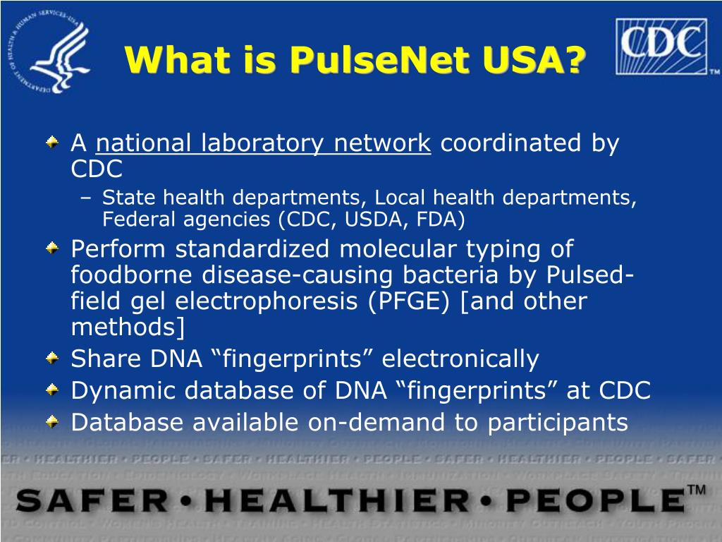 PPT - Molecular Surveillance of Foodborne Infections PowerPoint ...