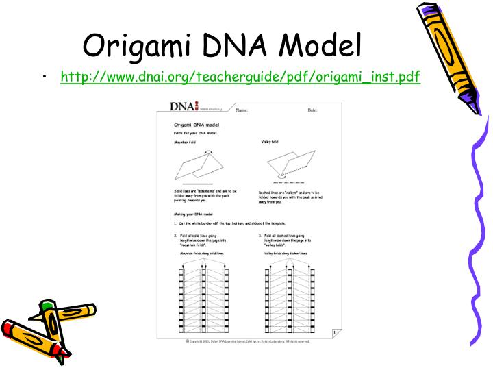 PPT - DNA Origami PowerPoint Presentation - ID:3696303