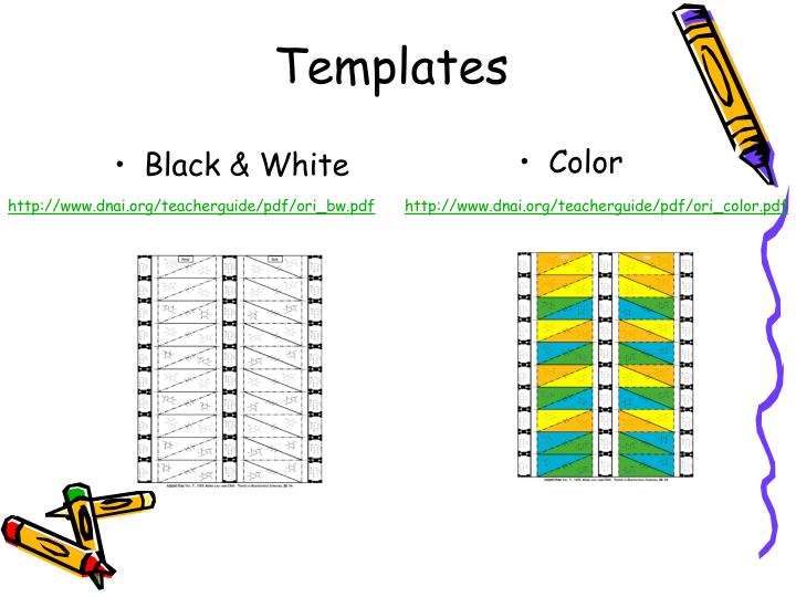 PPT - DNA Origami PowerPoint Presentation - ID:3696303