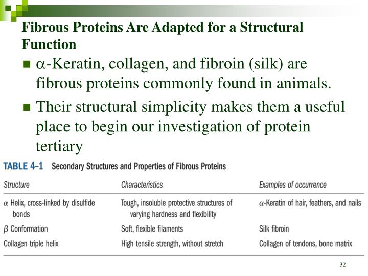 PPT - Chapter 4 THE THREE-DIMENSIONAL STRUCTURE OF PROTEINS PowerPoint ...