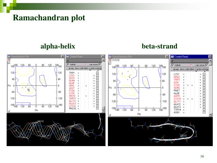 PPT - Chapter 4 THE THREE-DIMENSIONAL STRUCTURE OF PROTEINS PowerPoint ...