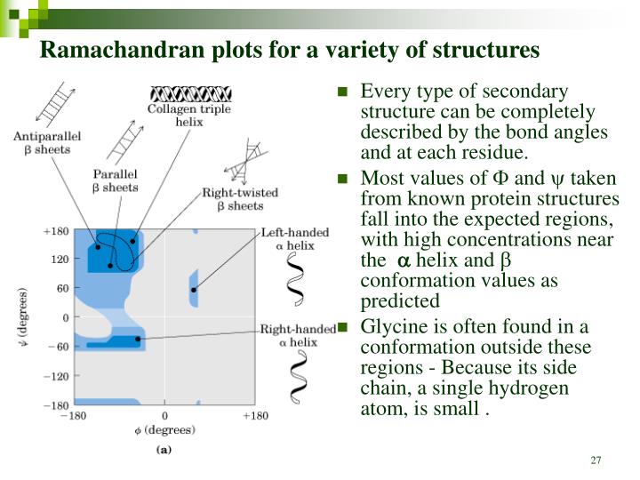 PPT - Chapter 4 THE THREE-DIMENSIONAL STRUCTURE OF PROTEINS PowerPoint ...