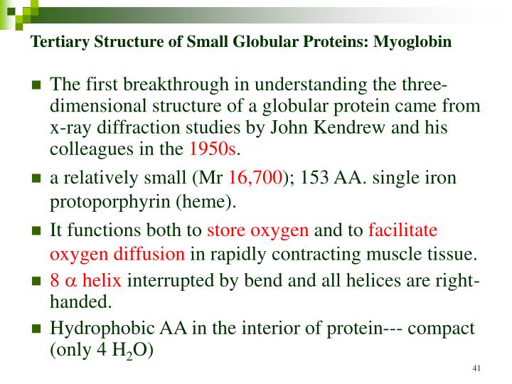 PPT - Chapter 4 THE THREE-DIMENSIONAL STRUCTURE OF PROTEINS PowerPoint ...