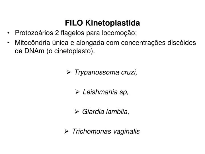PPT - FILO Kinetoplastida PowerPoint Presentation, free download - ID ...