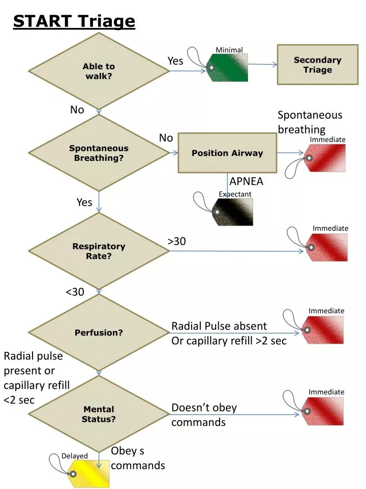 PPT - Secondary Triage PowerPoint Presentation, free download - ID:3697434