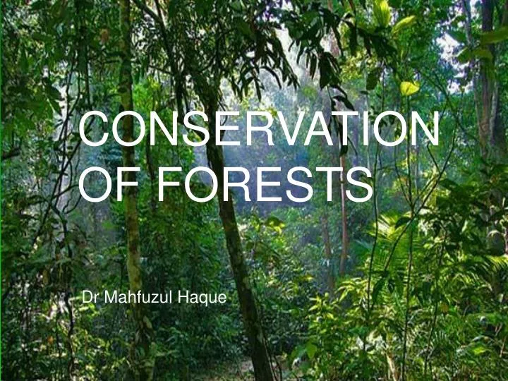 Ppt Conservation Of Forests Powerpoint Presentation Free Download