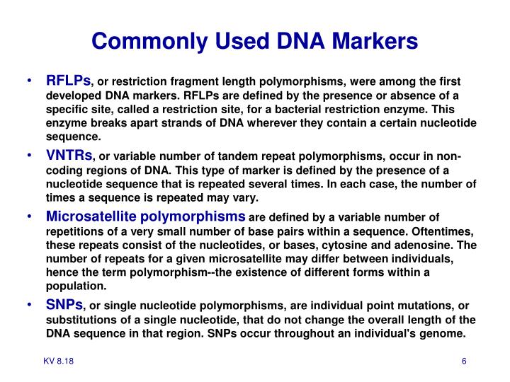 PPT - Gentherapie und Genomics PowerPoint Presentation - ID:3700505