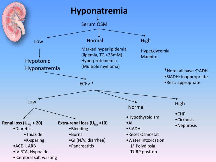 PPT - Electrolyte imbalance PowerPoint Presentation - ID:3701207
