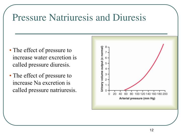 PPT - Blood Pressure Regulation 2 PowerPoint Presentation - ID:3701284