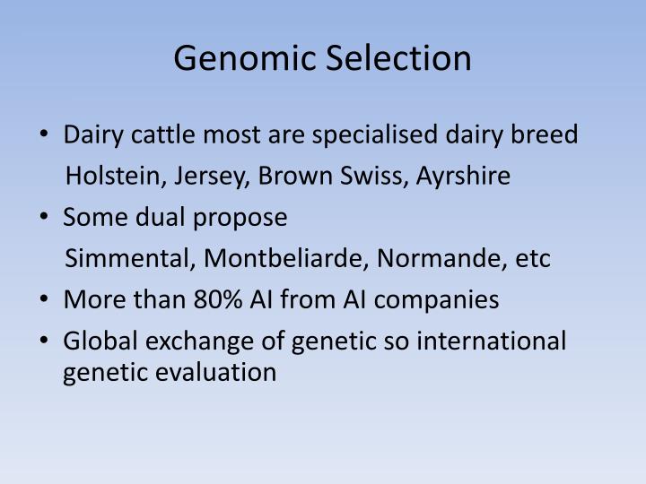 PPT - Genomic Selection in Dairy Cattle PowerPoint Presentation - ID ... PPT - Genomic Selection in Dairy Cattle PowerPoint Presentation - ID ...