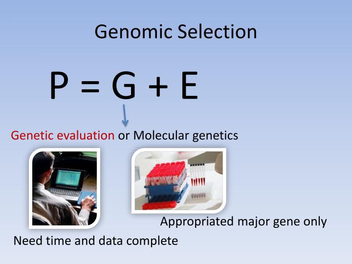 PPT - Genomic Selection in Dairy Cattle PowerPoint Presentation - ID ... PPT - Genomic Selection in Dairy Cattle PowerPoint Presentation - ID ...