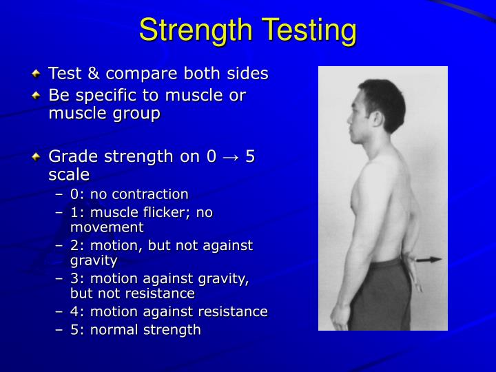 PPT - History & Physical Examination of the Shoulder PowerPoint ...