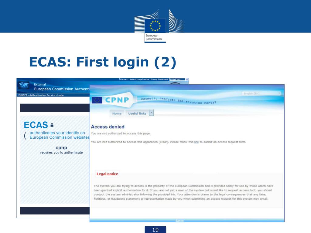 PPT - CPNP PowerPoint Presentation, free download - ID:3705322