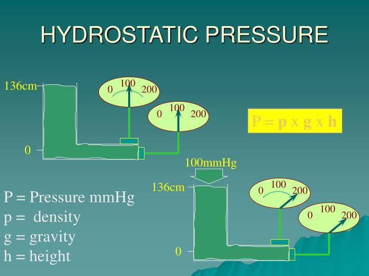 PPT - CARDIOVASCULAR PHYSIOLOGY PowerPoint Presentation - ID:3705765