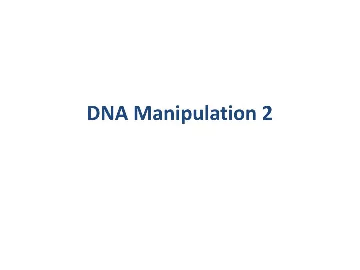 PPT - DNA Manipulation 2 PowerPoint Presentation, free download - ID ...