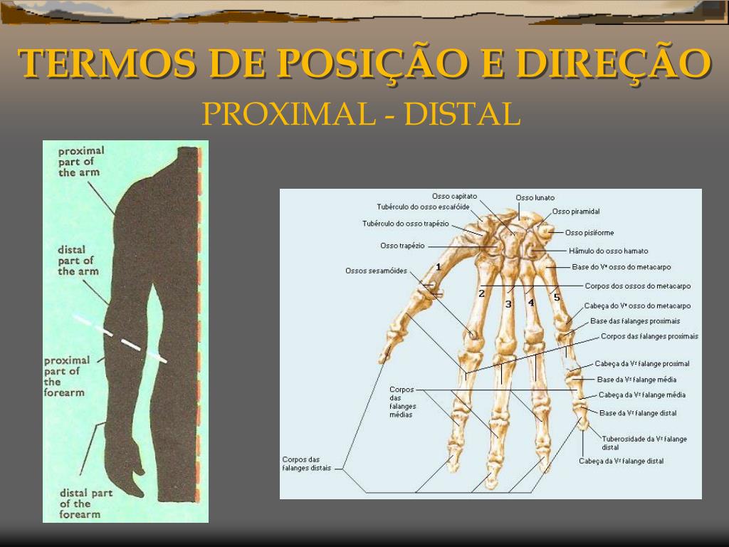 Termo De Posição E Direção - FDPLEARN Termo De Posição E Direção - FDPLEARN