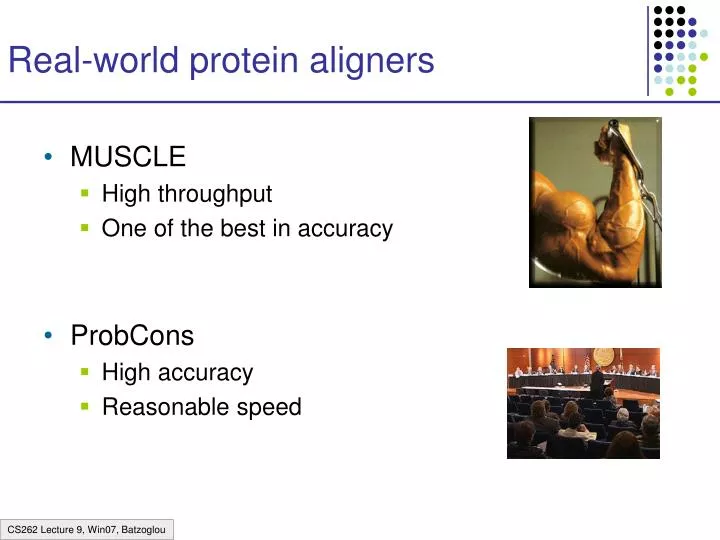 PPT - Real-world protein aligners PowerPoint Presentation, free ...