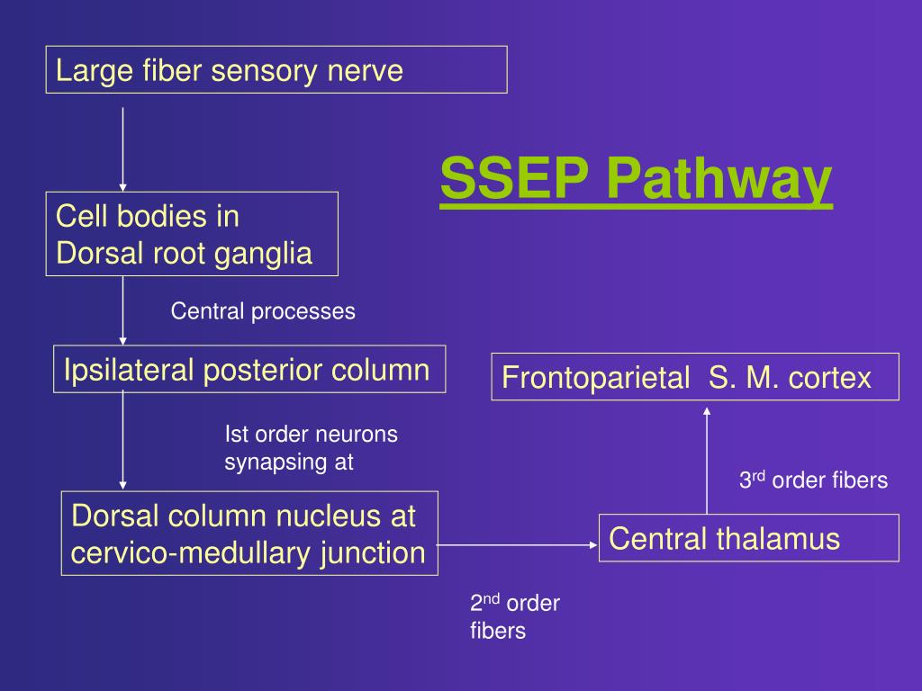 PPT - Prof. Ashok Saxena, University College of Medical Sciences & GTB ...