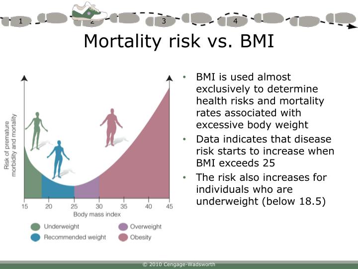 PPT - Chapter 4 Body Composition PowerPoint Presentation - ID:3708398