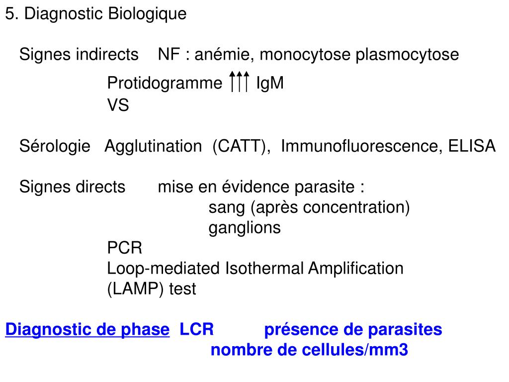 PPT - TRYPANOSOMOSE HUMAINE AFRICAINE (MALADIE DU SOMMEIL) Pr P ...