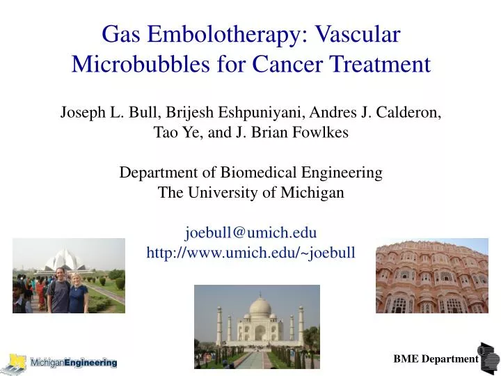 PPT - Gas Embolotherapy: Vascular Microbubbles for Cancer Treatment ...