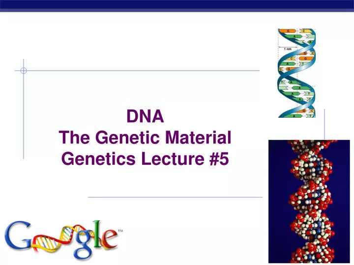 PPT - DNA The Genetic Material Genetics Lecture #5 PowerPoint ...